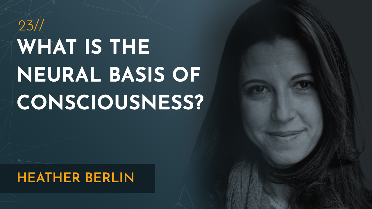 What is the Neural Basis of Consciousness? | Exploring a Theory of Mind ...