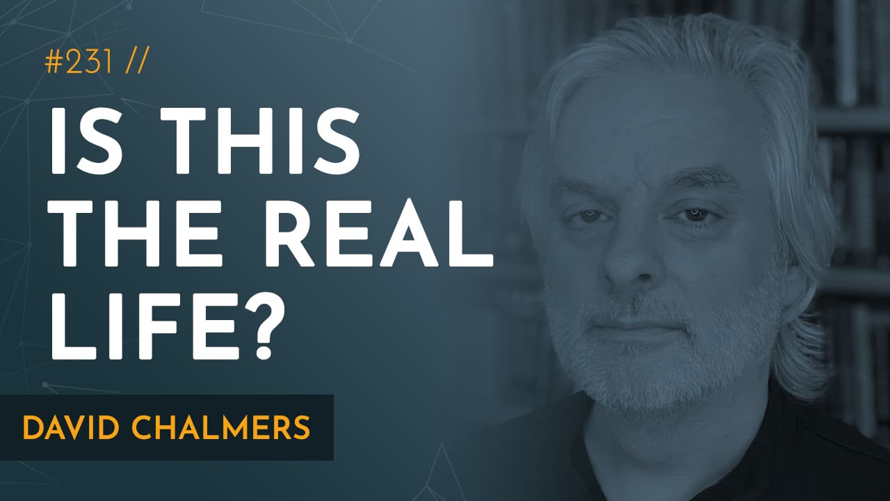 The Metaverse, Simulation, & Virtual Worlds | David Chalmers